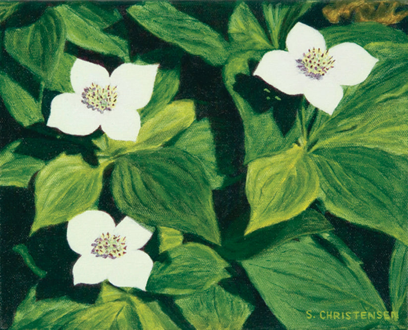 Original Paintings - Susan Christensen Art